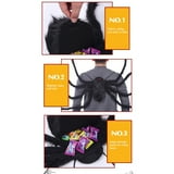 Darzheoy Halloween Adult Spider Backpack Black Colorful Spider Clothes ...
