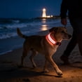 FeiFu LED Pet Collar for Dogs Double Optical Fiber Luminous Collar USB ...