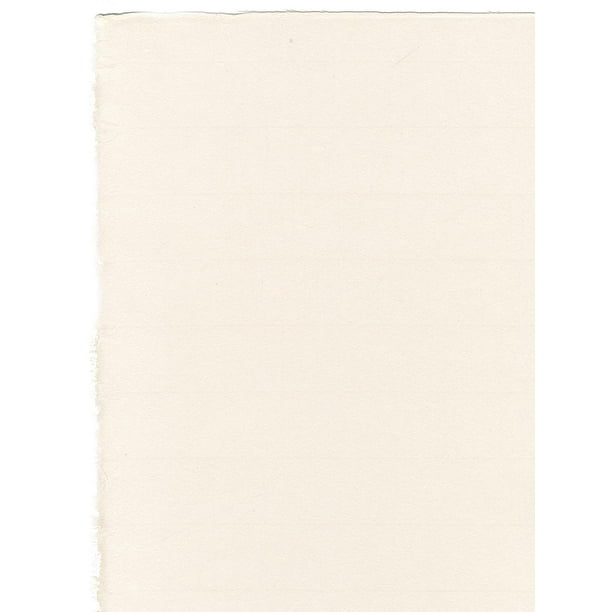 Hosho Printmaking Paper 19 in. x 24 in., sheet, professional grade ...