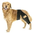 Eisoary Dog Hip Knee Leg Brace Adjustable Dog ACL Brace for Back Hind ...