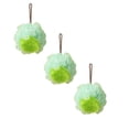 3Pcs Bath Loofah with Scalp Massage Comb, Soft Shower Sponge for Backs ...