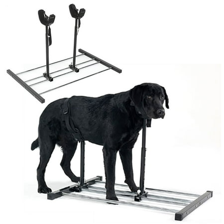 Tbest Durable Breeding Stand, Dog Breeding Stand, Dogs For Large Small ...