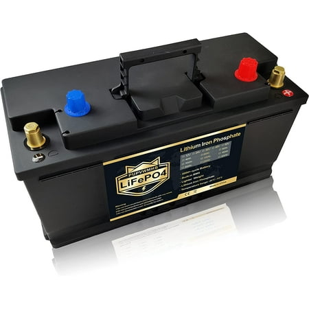 LiFePO4 Battery 12V 100Ah Lithium Batteries 4000+ Deep Cycles Iron ...