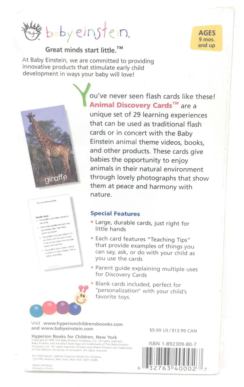 Baby Einstein Animal Discovery Cards