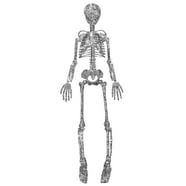 "Lifesize Two-Headed Skeleton Halloween Decor - Posable, Hanging ...
