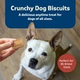 Blue Buffalo Health Bars Crunchy Dog Snacks, Natural Biscuits - Bacon ...