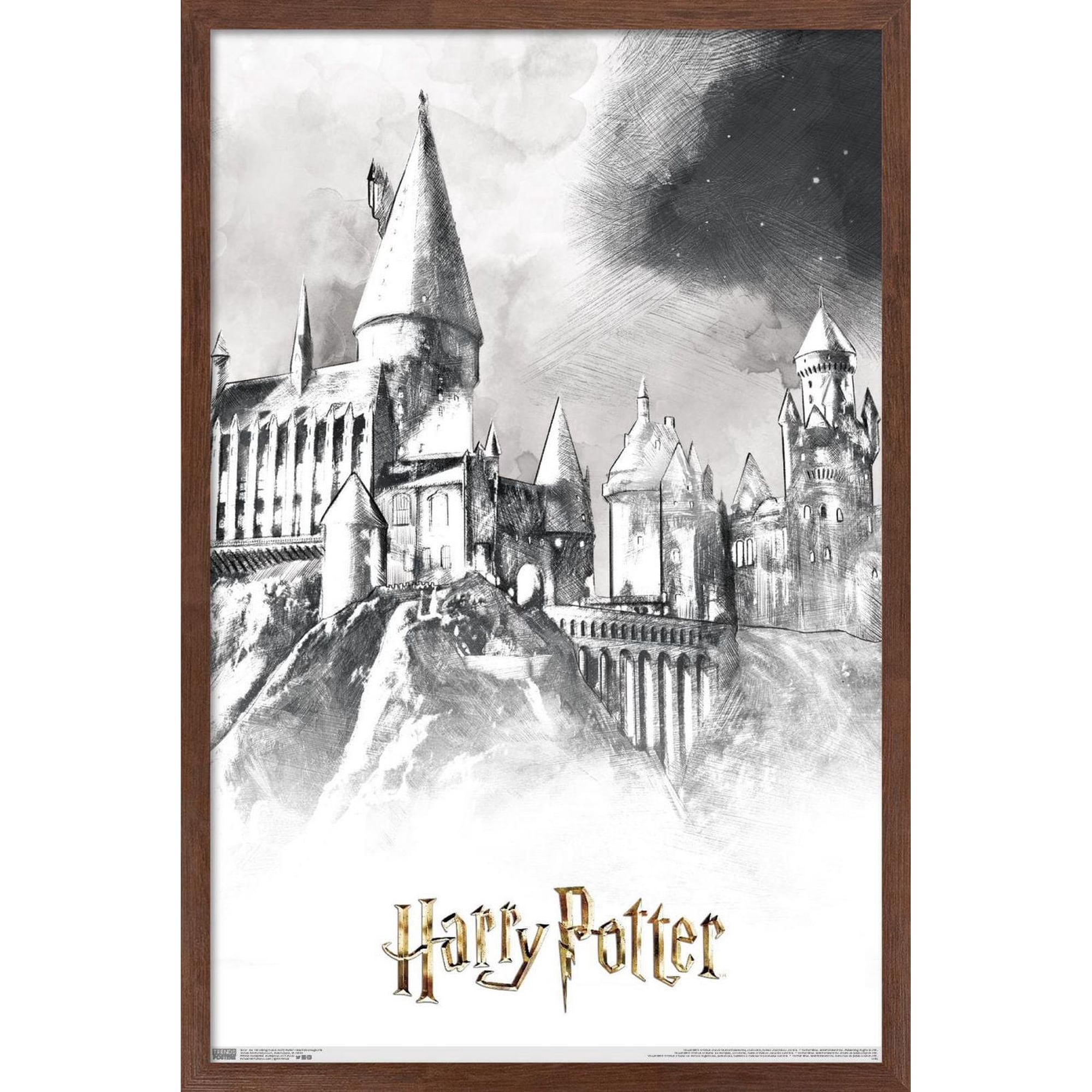 Click here for Trends International The Wizarding World: Harry Po... prices