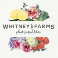 Whitney Farms Organic & Natural Tomato & Vegetable Food, In-Ground and ...