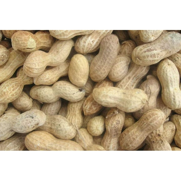 Raw Shelled Peanuts