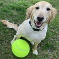Waloo Oversized Extra Large 9.5 Inch Jumbo Tennis Ball for Dogs with ...