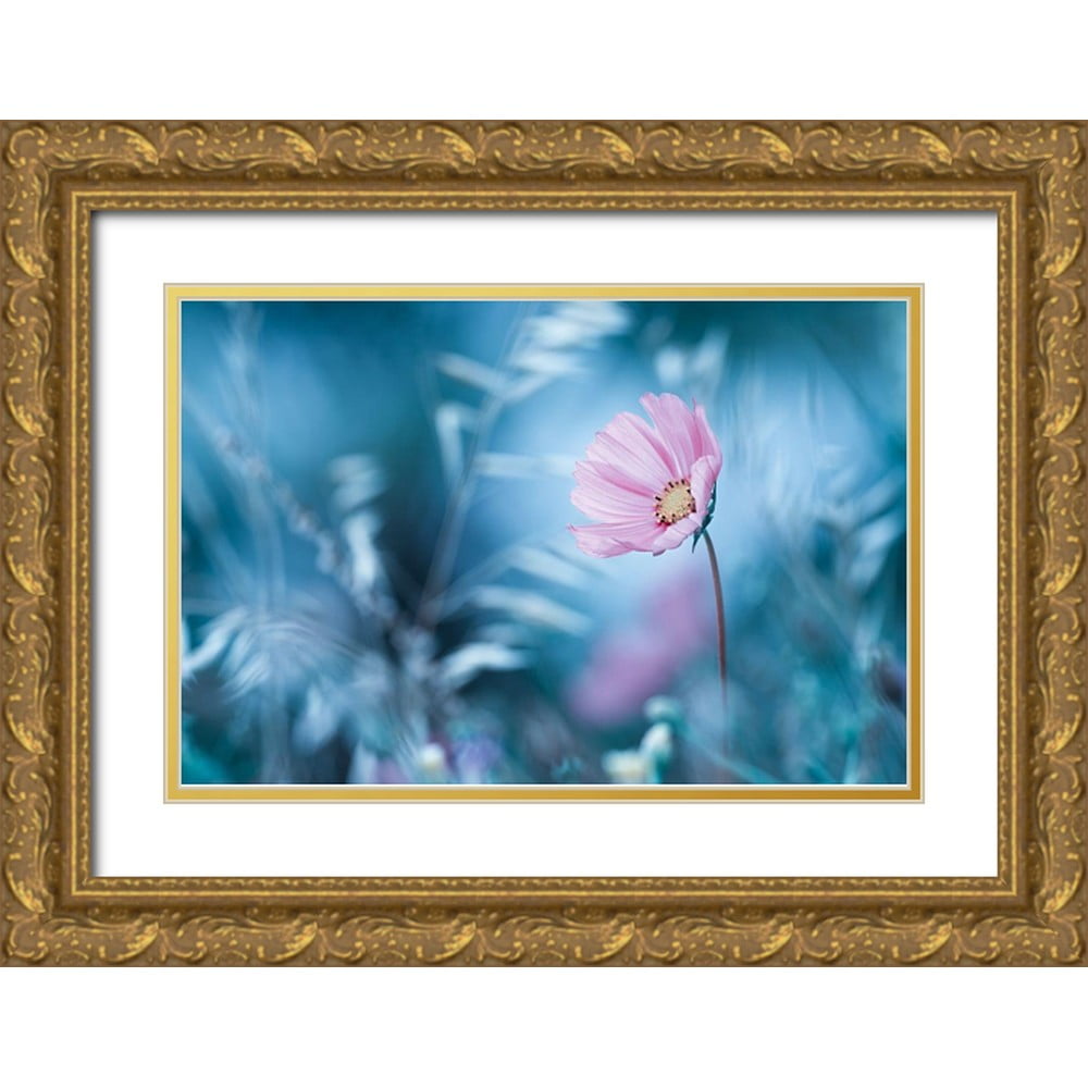 Bravin, Fabien 24x17 Gold Ornate Wood Framed with Double Matting Museum ...