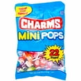 ATB's 44 Charms Mini Pops: Colorful, Assorted Fruity Flavors, Fun for ...