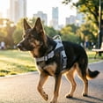 Chest Strap Harness for Medium to Large with Lightweight Comfort and ...