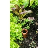 GrowOya Clay Planter - Walmart.com