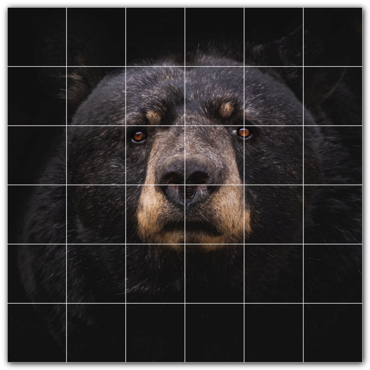 Picture-Tiles.com: Bear Ceramic Tile Wall Mural WAL500115-66XL. 72"W x ...