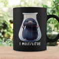 Chemistry Science Student Mole Coffee Mugs - Walmart.com
