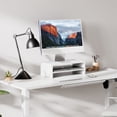 FITUEYES Monitor Stand - 2 Tier Computer Monitor Riser with 16.7 Inch ...