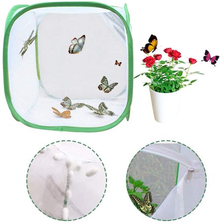 Large Monarch Butterfly Cage, Tall Collapsible Butterfly Insect ...