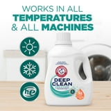 ARM & HAMMER Deep Clean Free & Clear Liquid Laundry Detergent 102 fl oz ...