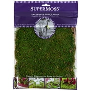 23" CURLY PEPPERMINT TWIST SPRAY X5 - Walmart.com