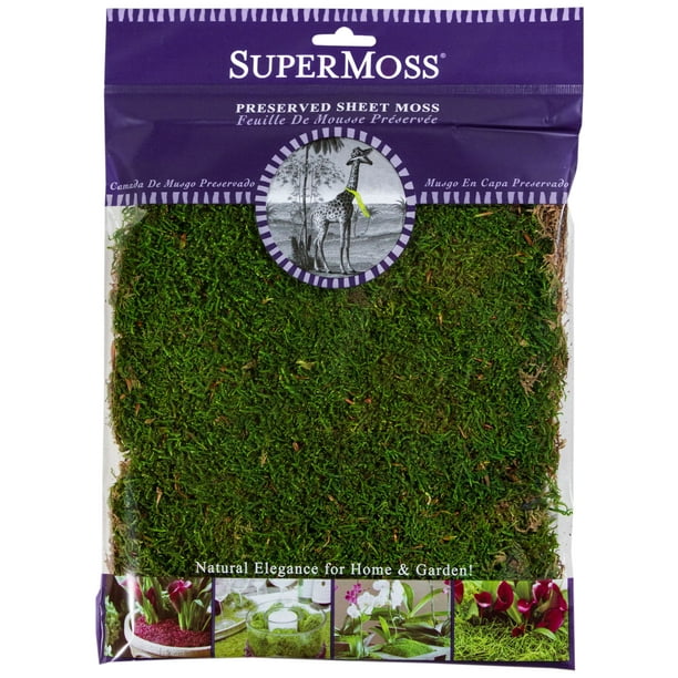 SuperMoss® Preserved Sheet Moss - Walmart.com