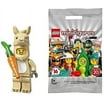 LEGO FOX COSTUME GIRL SERIES 19 MINIFIGURE 71025 - Walmart.com