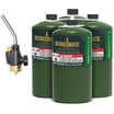 Coleman All Purpose Propane Fuel, Camp Stove Canister, 16 oz, 4-Pack - Walmart.com