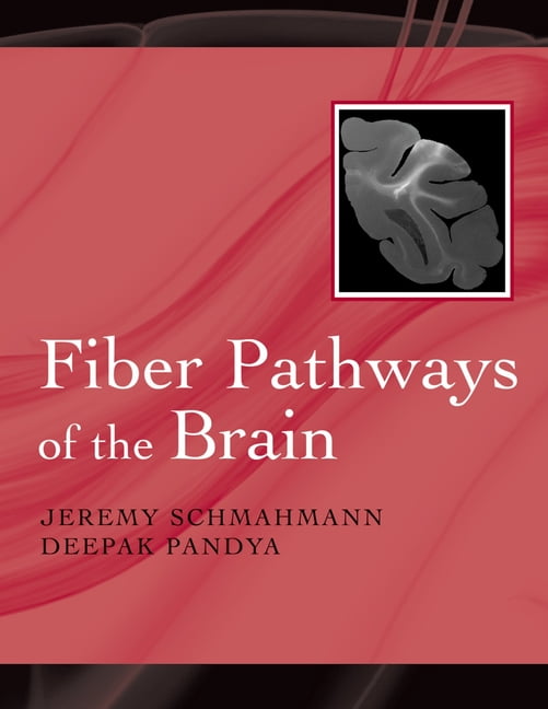 Fiber Pathways of the Brain (Paperback) - Walmart.com