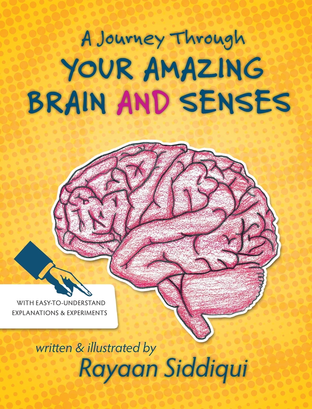 A Journey Through Your Amazing Brain and Senses (Hardcover) - Walmart.com
