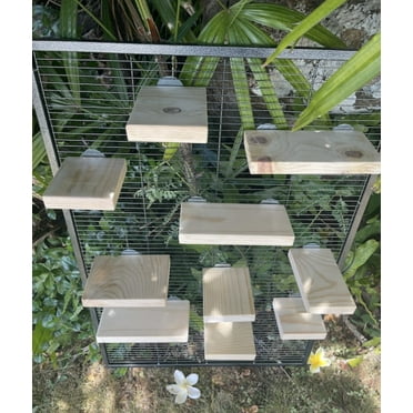 MidWest Homes For Pets Deluxe Critter Nation Double Unit Small Animal ...