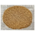 Palo Santo , Palo Santo Incense Powder/Chips, Holy Wood, Wholesale Bulk ...