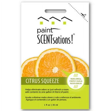 Paint Scentsations Paint Fragrance Additive, Vanilla, 1 0Z Packet ...