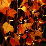 ZOELNIC Fall Thanksgiving Maple Leaf Lamp 40LED Garland Decoration ...