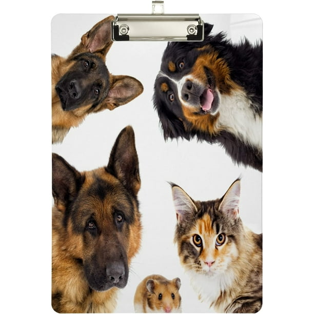 POGLIP 3D CatsDog Hamster Peep Out Clipboard Hardboard Wood Nursing Clip Board and Pull for ...