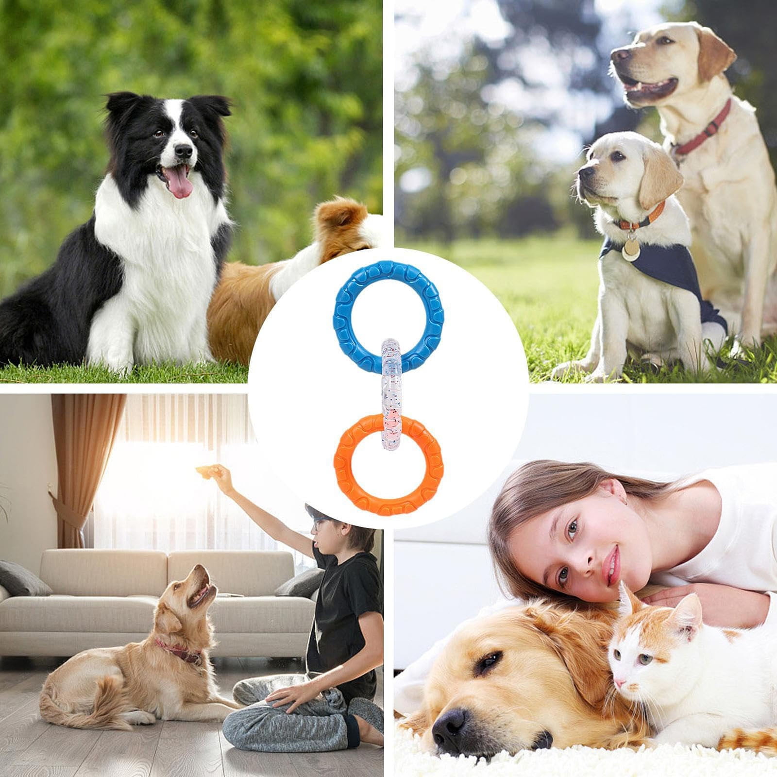 Click here for Chenjiaaa Tug Rings For Dogs 3 Rings Puller Dog To... prices