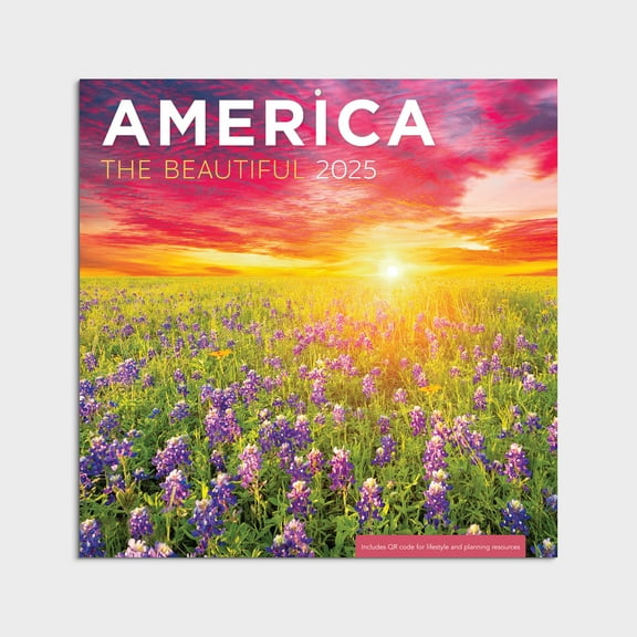 DaySpring - Walmart.com