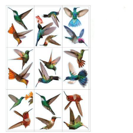 Crash Window Decal, Bird Alert Collision Decal to Prevent Birds from ...