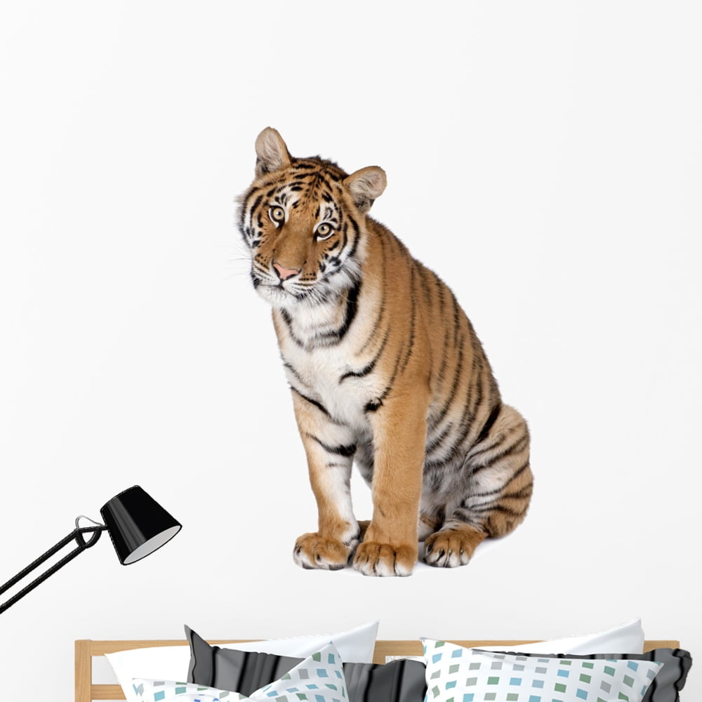 Bengal Tiger Sitting Wall Decal by Wallmonkeys Peel and Stick Graphic ...