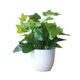 TUWAFE 2026 New 10.2” Artificial Bonsai in Green Grass Plastic Pot for ...