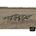 Avian-X AXP Lesser Canada Goose Decoy - Walmart.com