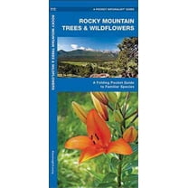 Nature Observation North America: New Mexico Trees & Wildflowers : A ...