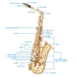 Gold Glarry Eb Alto Saxophone Full Package for Adults Including Care ...