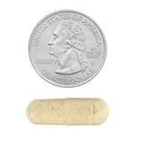 Spring Valley Advanced Digestive Enzymes, 60 Count - Walmart.com