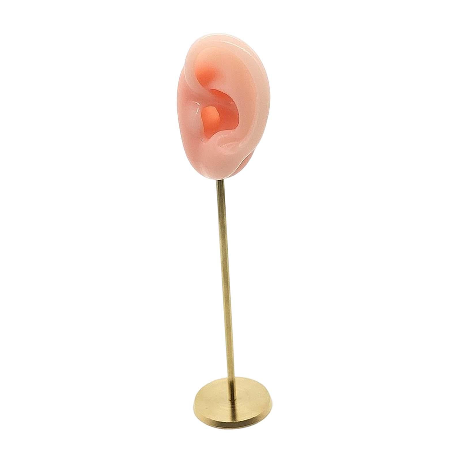Simulation Silicone Human Ear Molds Earbuds Display Stand Earrings ...