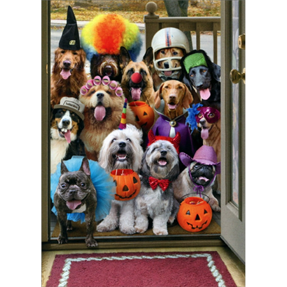 Avanti Press Trick or Treat Dogs Funny / Humorous Halloween Card ...