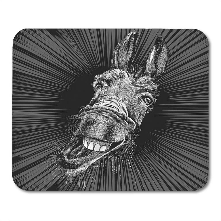 Cartoon Donkey Head Drawing