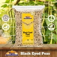 Rani Black Eyed Peas Dried Cowpeas Lobhia 32oz 2lbs 908g Vegan Kosher ...
