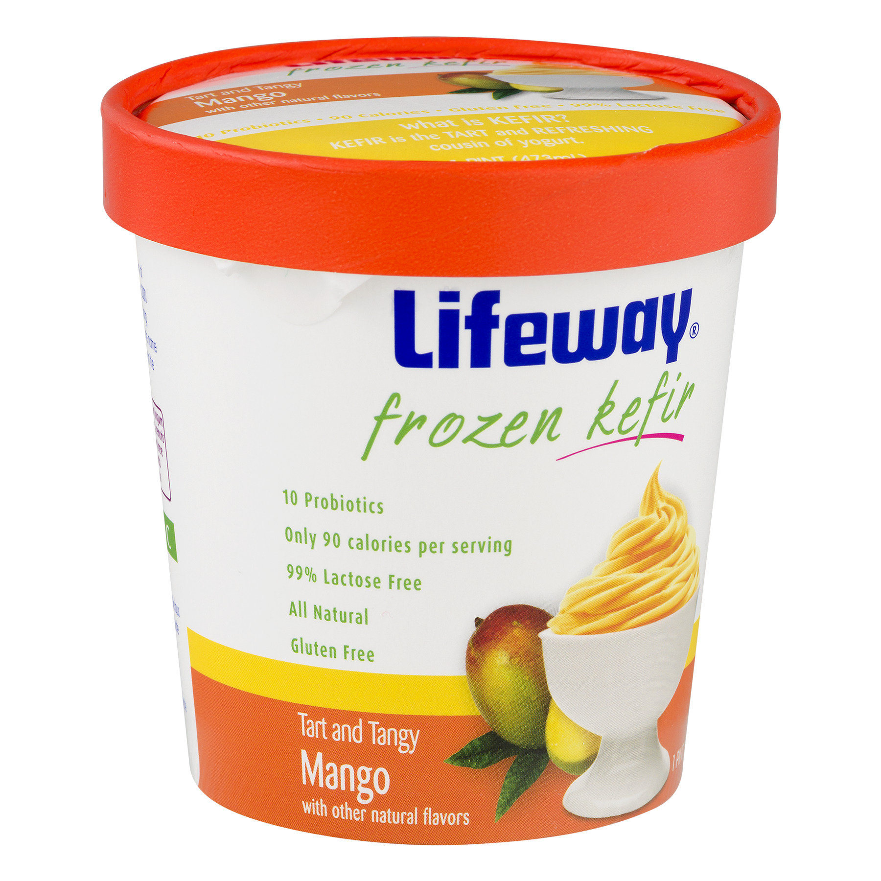 Lifeway Frozen Kefir Nutrition Facts | Besto Blog