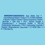 Dial Body Wash, Refresh & Renew Spring Water, 16 fl oz - Walmart.com