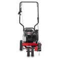 Restored TBE550 Driveway Edger | 140cc Briggs & Stratton Engine ...